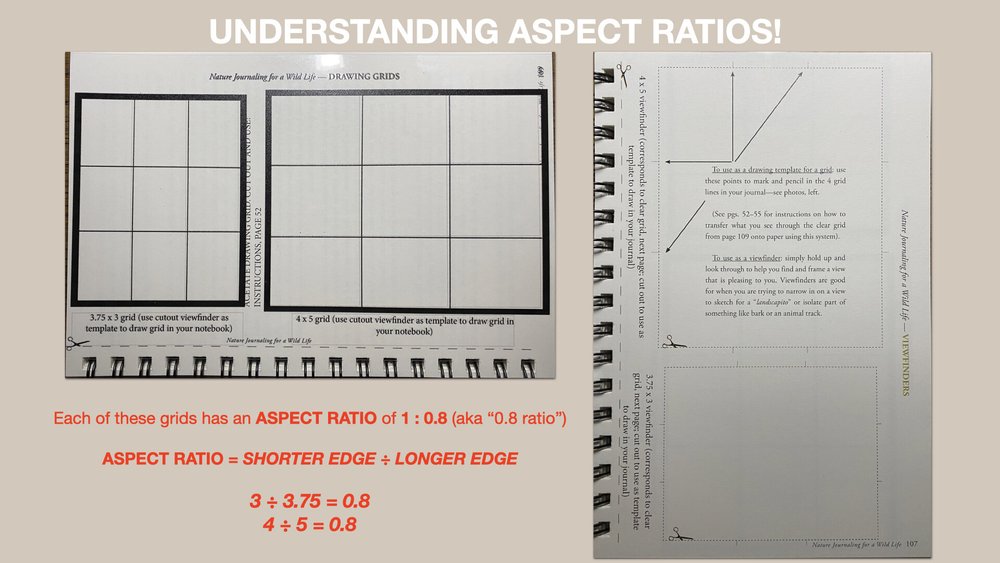 Using Grids: 3D cube landscapes and more — Exploring Overland