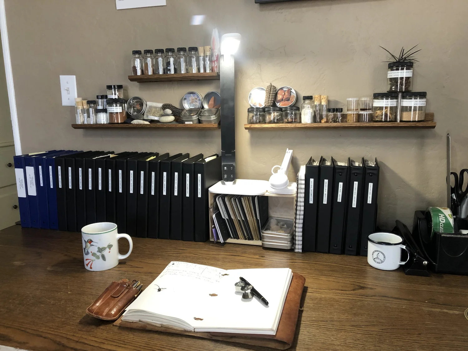 Quick guide to indexing your nature data — Exploring Overland