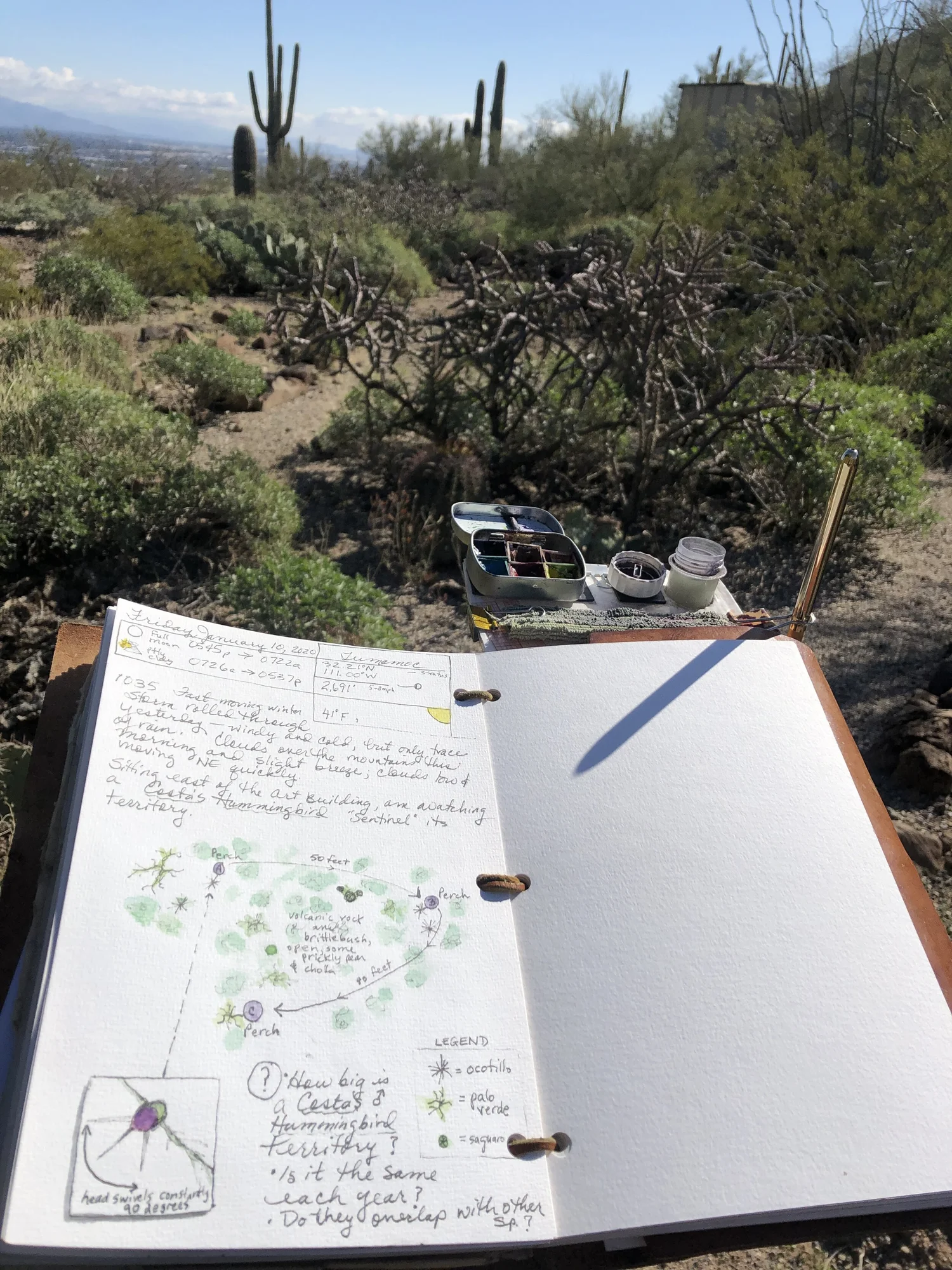 Cartography 101: Adding maps to your nature journals (Free Field Arts ...