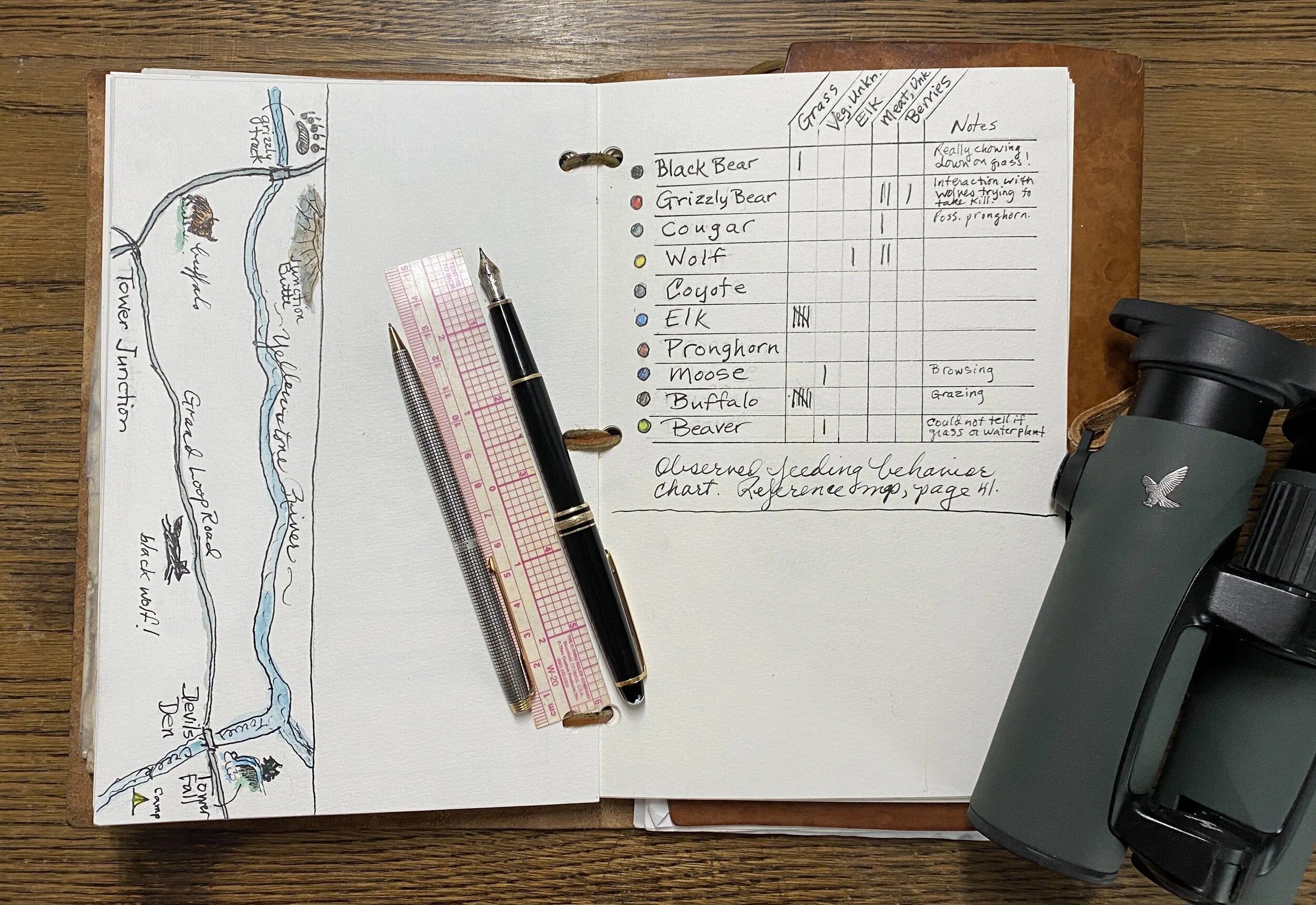 Field Arts Workshop: Cartography 101 for Field Notebooks — Exploring ...