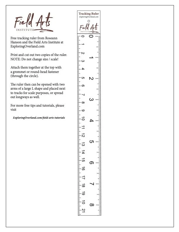 Field Arts Workshop: Animal Tracking 101 for Field Notebooks ...