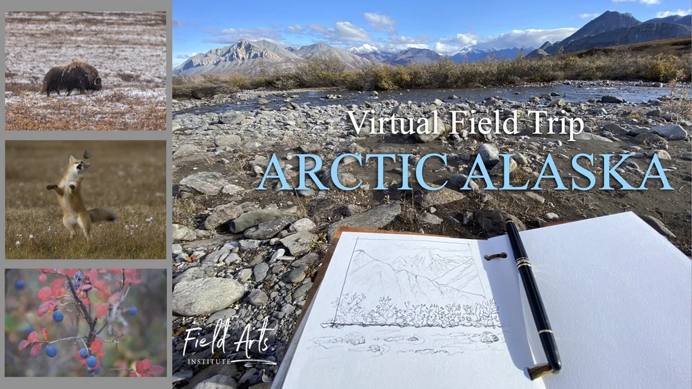 Virtual Field Trip to Arctic Alaska — Exploring Overland