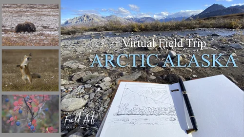 Virtual Field Trip to Arctic Alaska — Exploring Overland