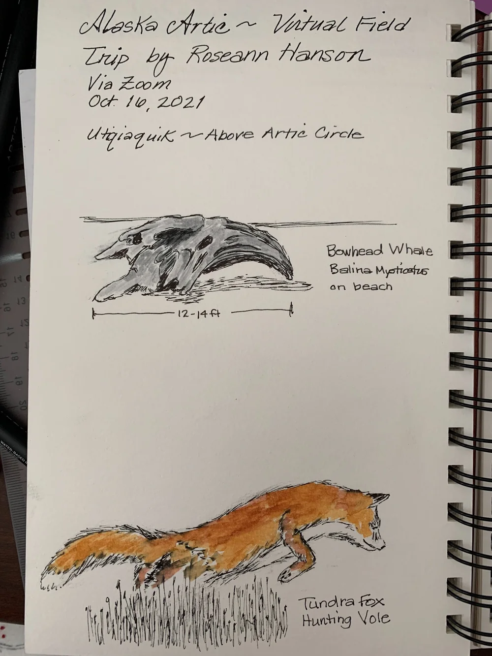 Virtual Field Trip to Arctic Alaska — Exploring Overland