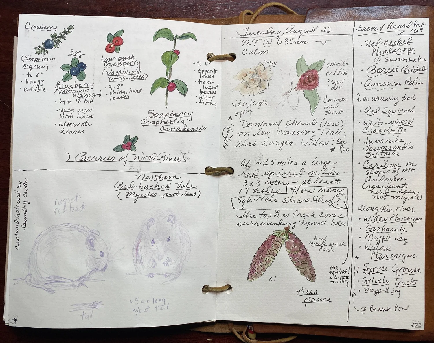 Workshops & Trips — Exploring Overland