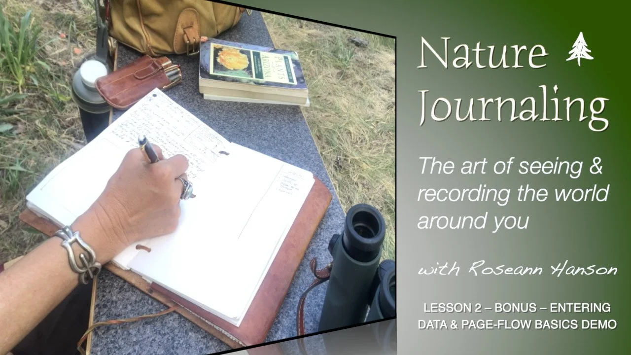 Beginning Nature Journaling Course — Exploring Overland