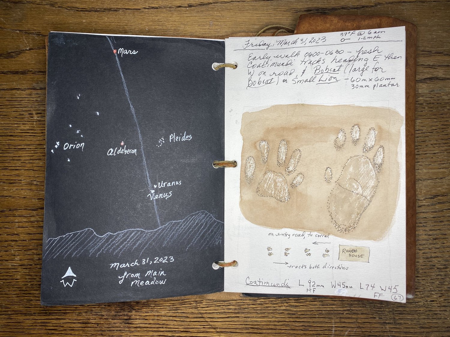 Journaling Night Skies — Exploring Overland