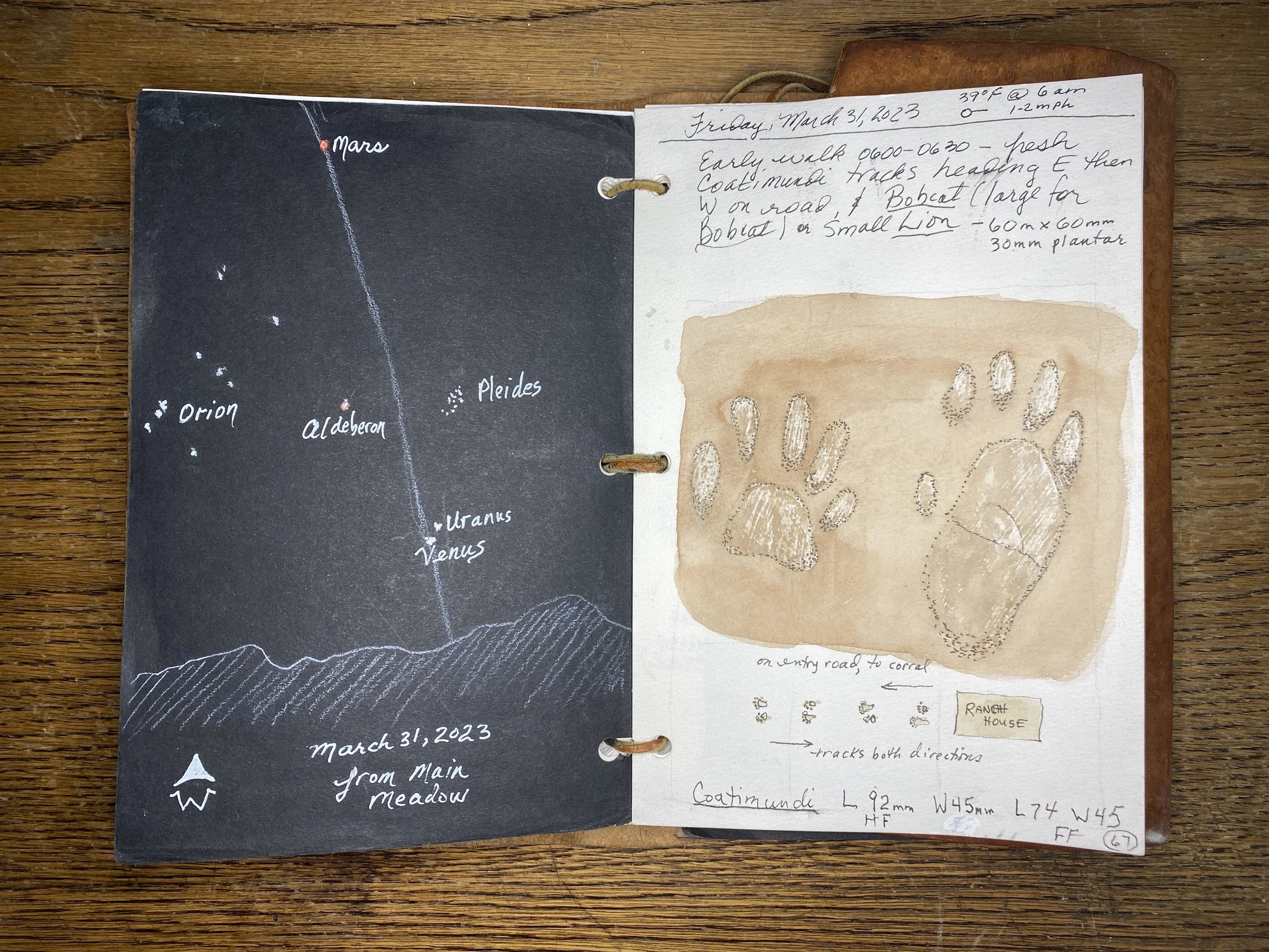 Journaling Night Skies — Exploring Overland