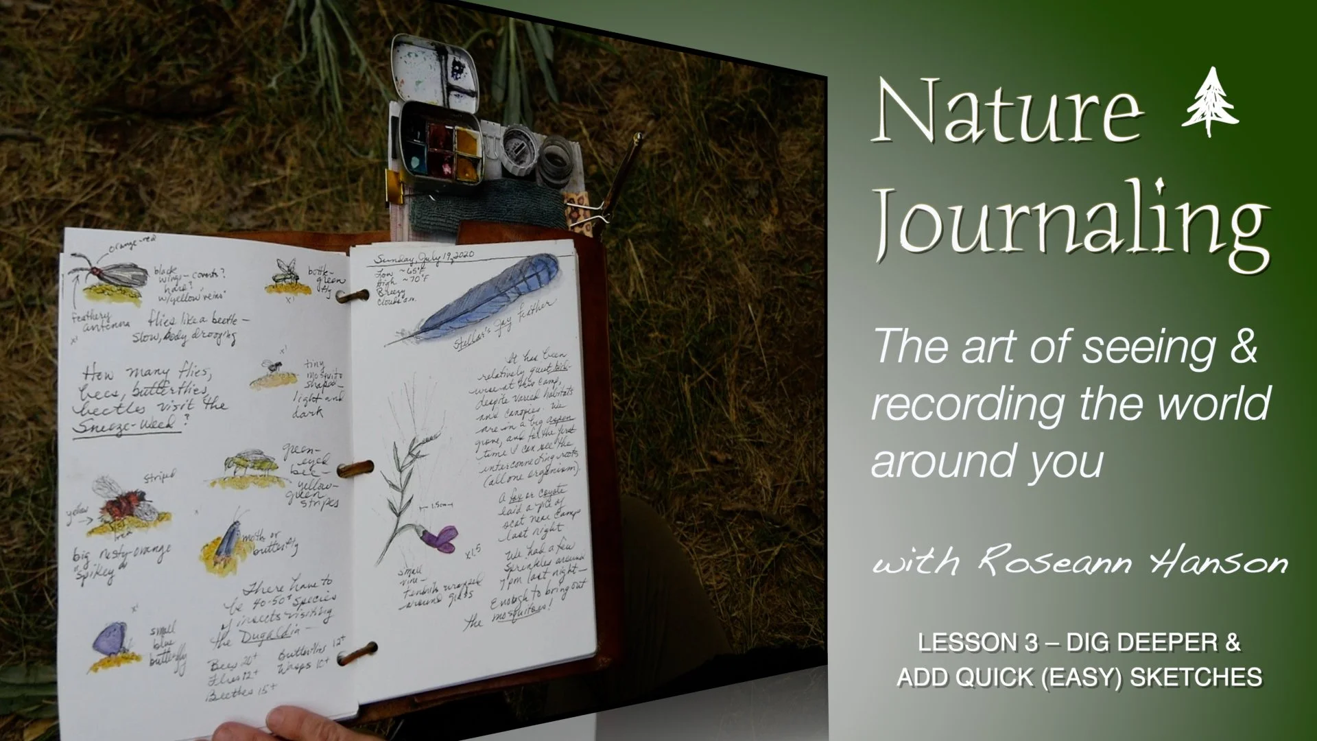 Beginning Nature Journaling Course — Exploring Overland