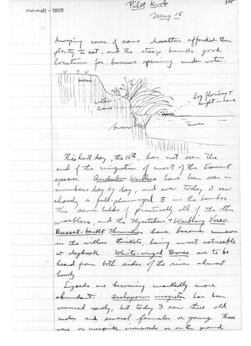 Field notes, a historical perspective — Exploring Overland