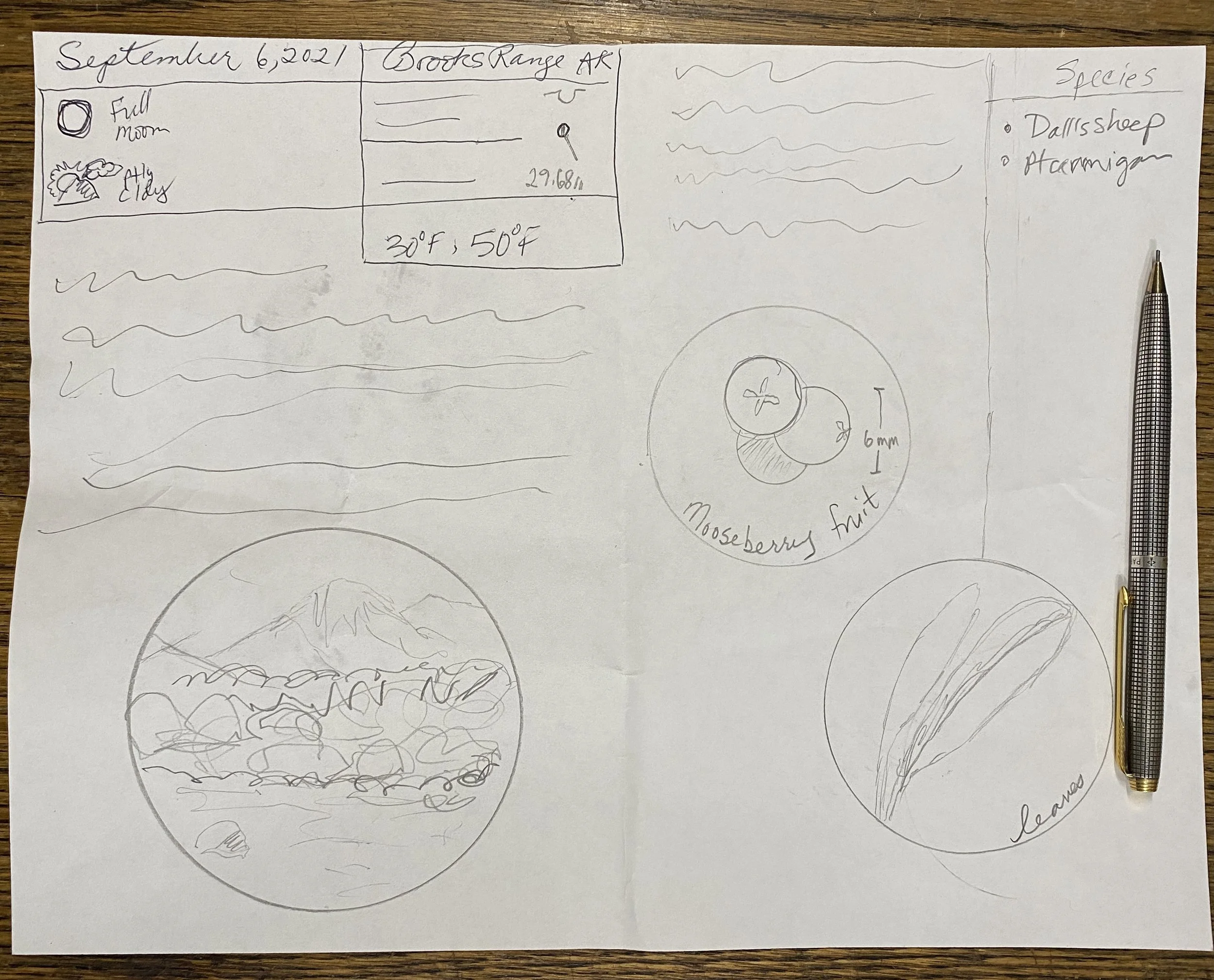Field Arts Workshop: Layout Strategies for Beautiful (Organic) Pages ...