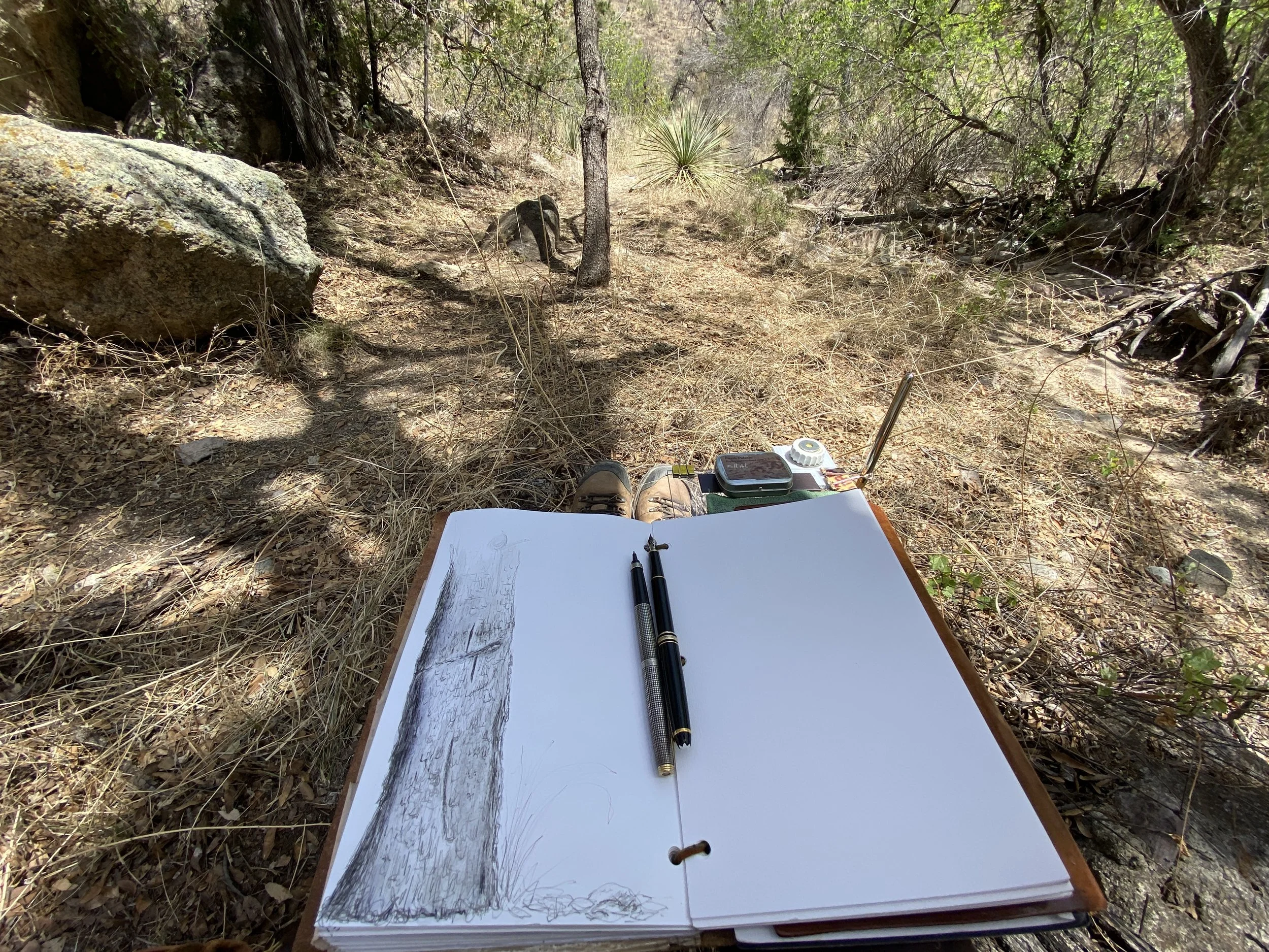 Field Arts | Roseann Hanson — Exploring Overland