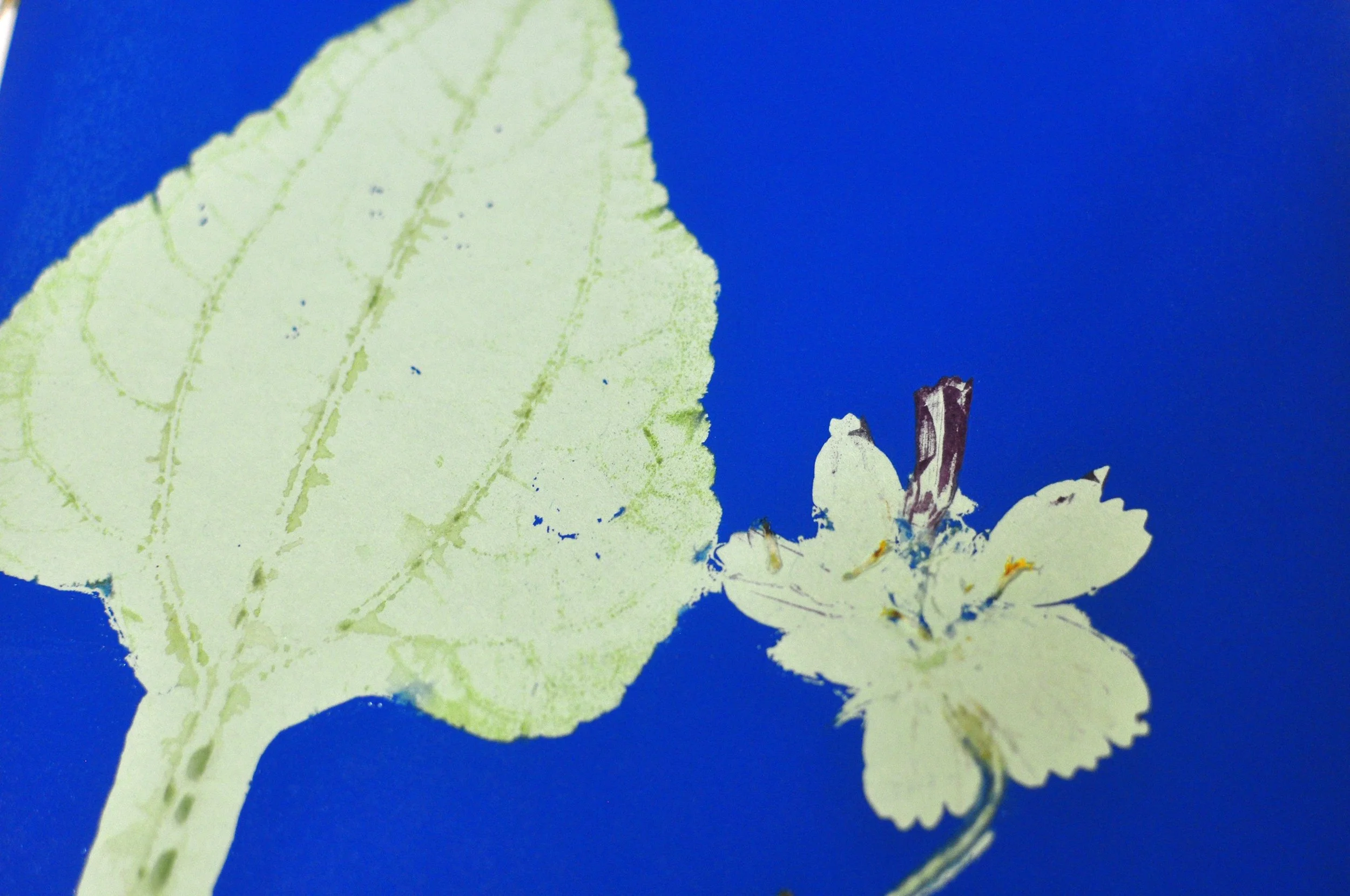 No darkroom, no problem: how to make simple screens for screen printing ...