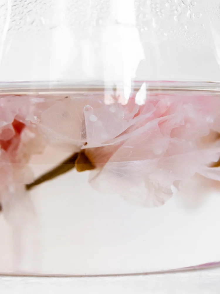 Savor Spring How To Make Preserved Cherry Blossom Tea — The Rikumo Journal