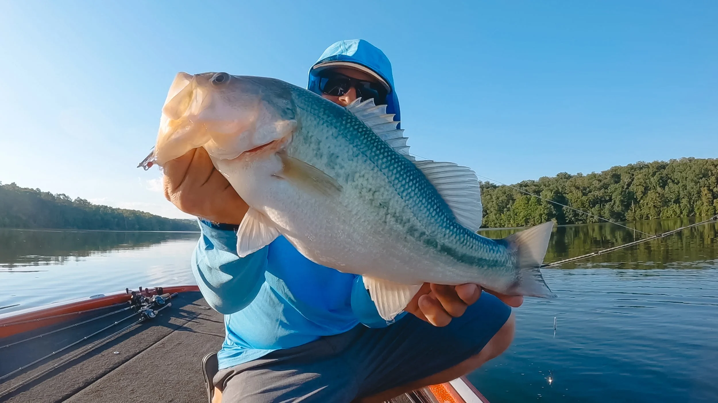 Top 5 Baits For Post Spawn Bass Fishing! (Early Summer Transition ...