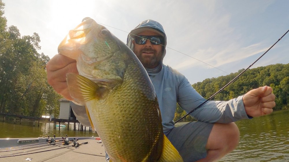 Fall Transition Bass Fishing On Lake Chickamauga — Tactical Bassin ...