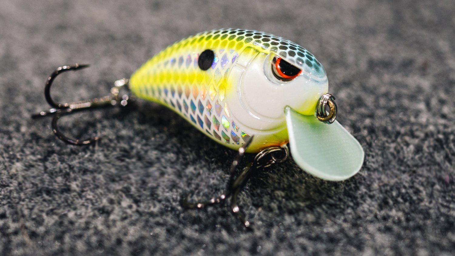 Where Do Bass Go During The Fall Transition? (And How To Catch Them ...