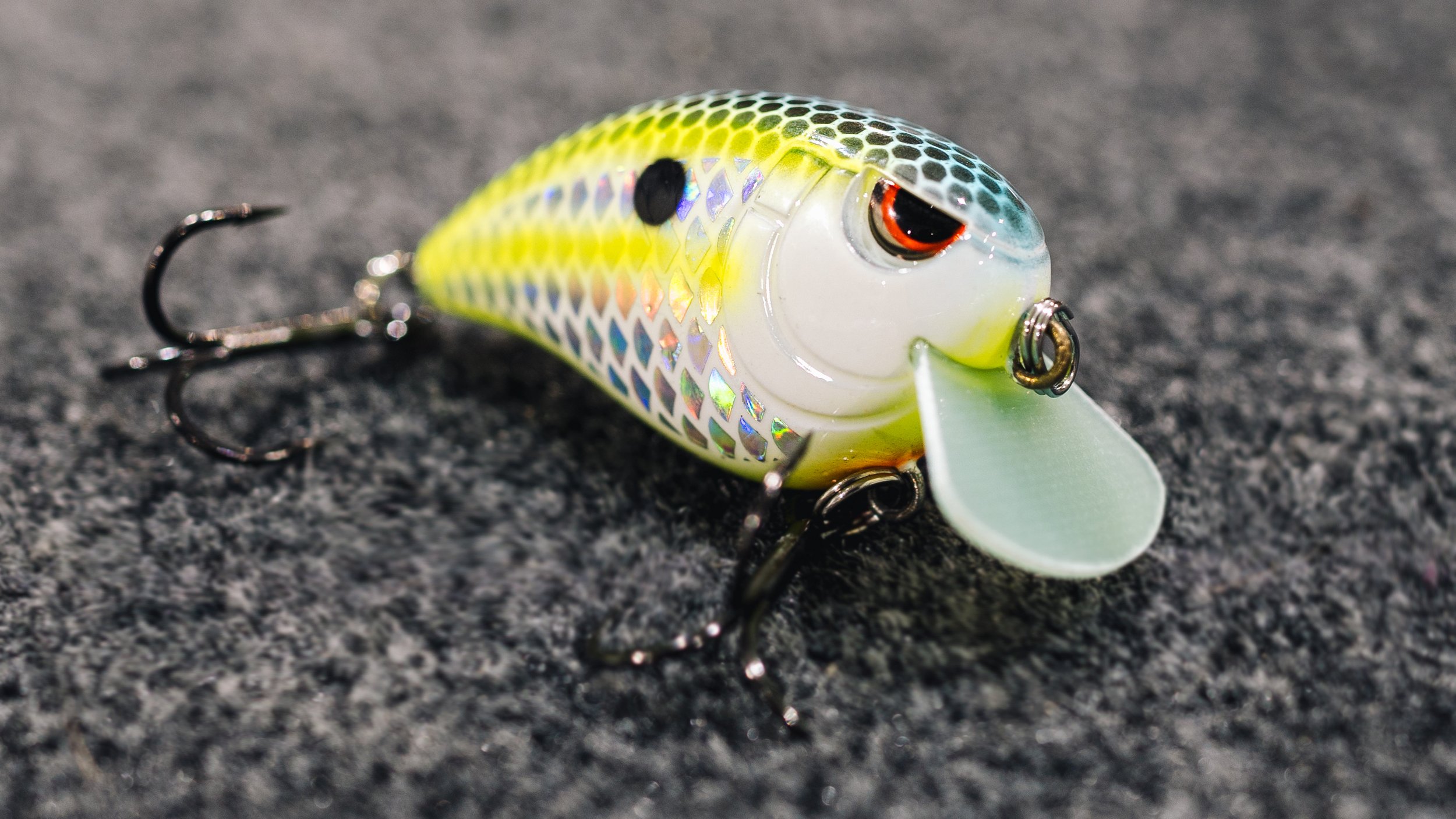 Where Do Bass Go During The Fall Transition? (And How To Catch Them) — Tactical Bassin' - Bass ...