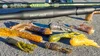 Tube Fishing Tricks For Bass Fishing! (Beginner To Advanced ...