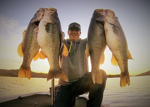 Matt Allen Ranked 5th for California's Top 40 Bass Anglers — Tactical ...