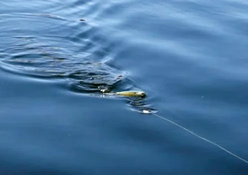 What is a Front Runner and Why Should You Use One? — Tactical Bassin ...