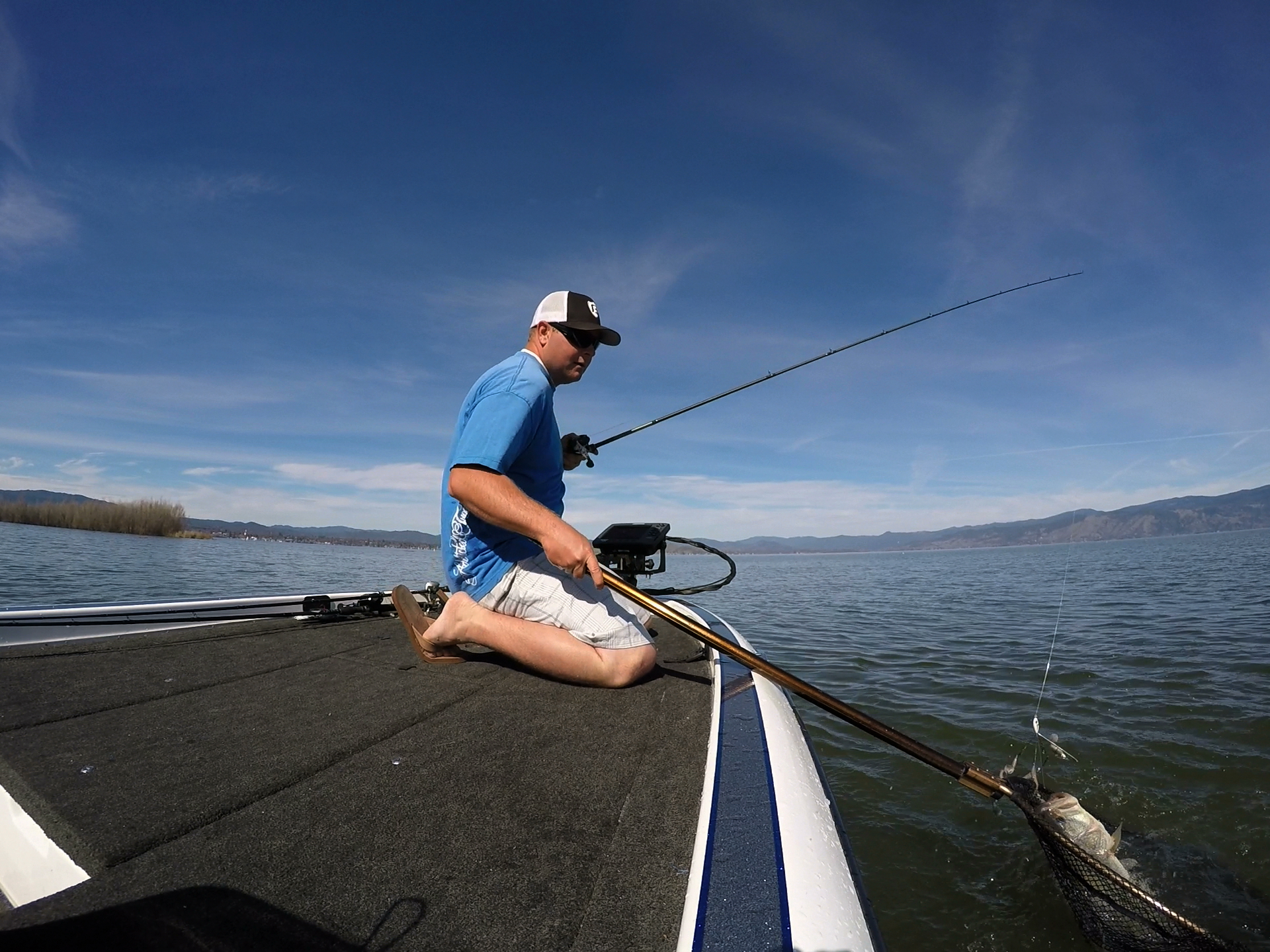 Alabama Rigs... Step By Step How to Trigger Big Bites — Tactical Bassin ...