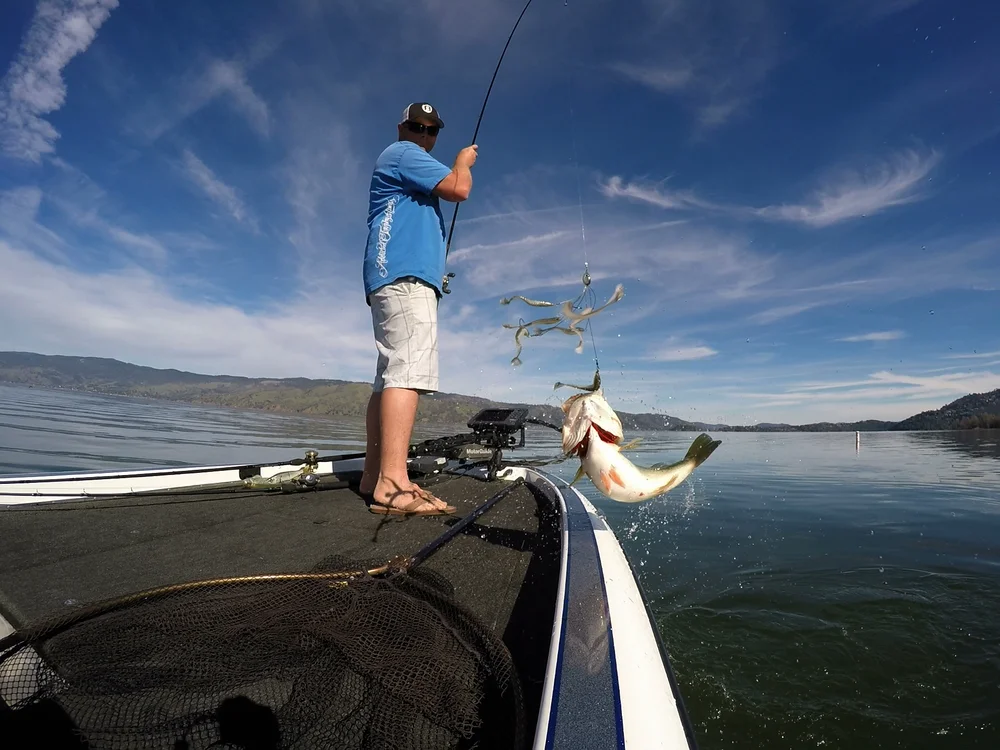 Alabama Rigs... Step By Step How to Trigger Big Bites — Tactical Bassin ...