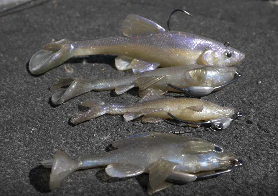 Little Creeper Trash Fish | Quietly Winning Across The Country ...