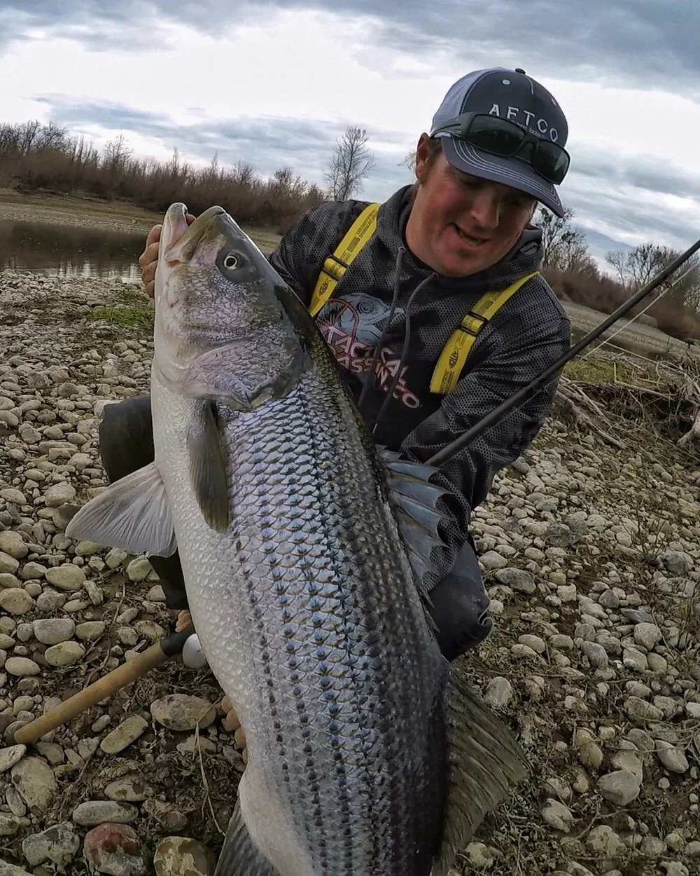 Explorer Glide Bait by Baitsanity - Swimbait Review — Tactical Bassin' - Bass Fishing Blog