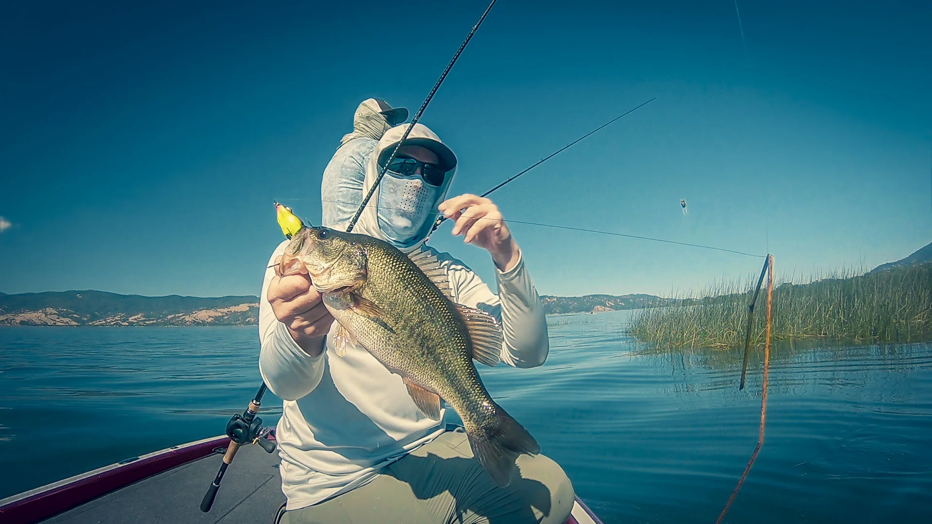 Boat Flipping Frog fish! — Tactical Bassin' - Bass Fishing Blog