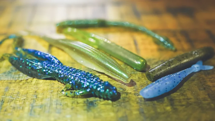 Best Worms and Creature Baits For Bass Fishing - Buyer's Guide ...
