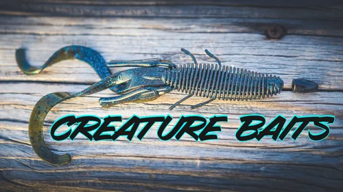 Underwater Footage!! Best Creature Baits Compared! — Tactical Bassin ...