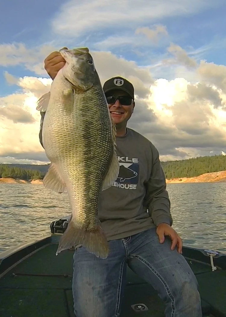 About Us — Tactical Bassin' - Bass Fishing Blog