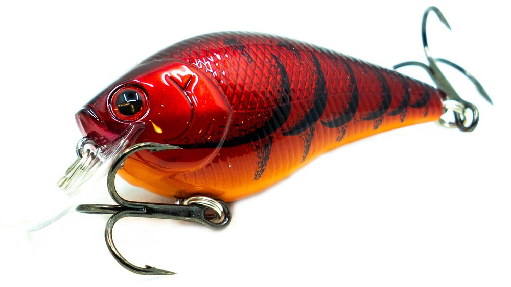 Summer Crankbaits: Everything You Need To Know! (Shallow & Deep ...