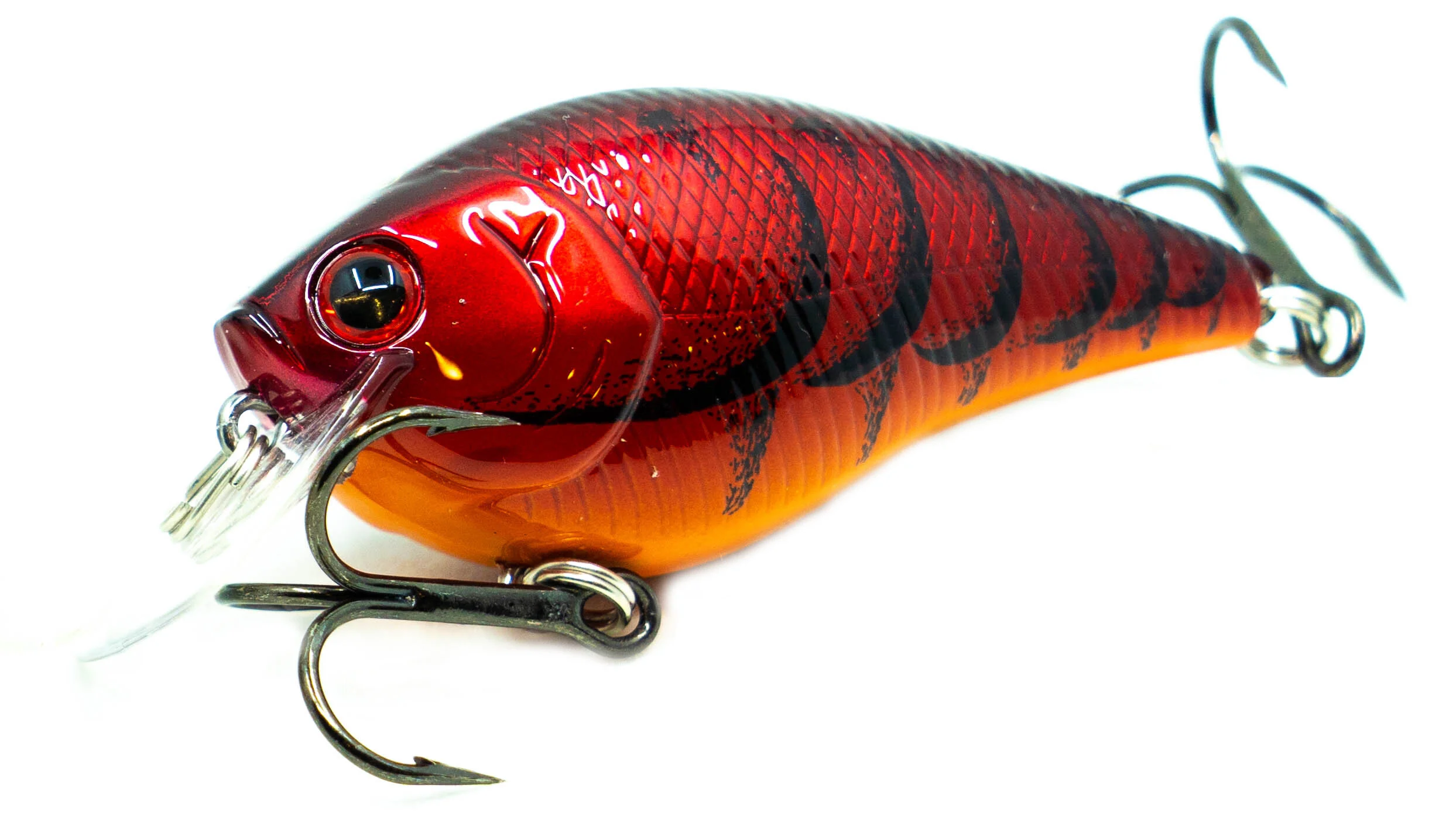 Summer Crankbaits: Everything You Need To Know! (Shallow & Deep ...