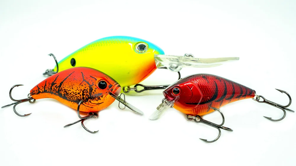 Fall Transition - Where Do The Bass Go? ( And How To Catch Them ) — Tactical Bassin' - Bass ...