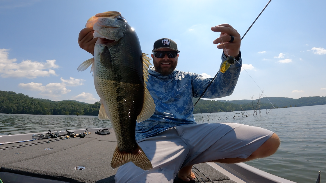 Free Rig Fishing For Bass! Tips And Tricks + Underwater Footage ...