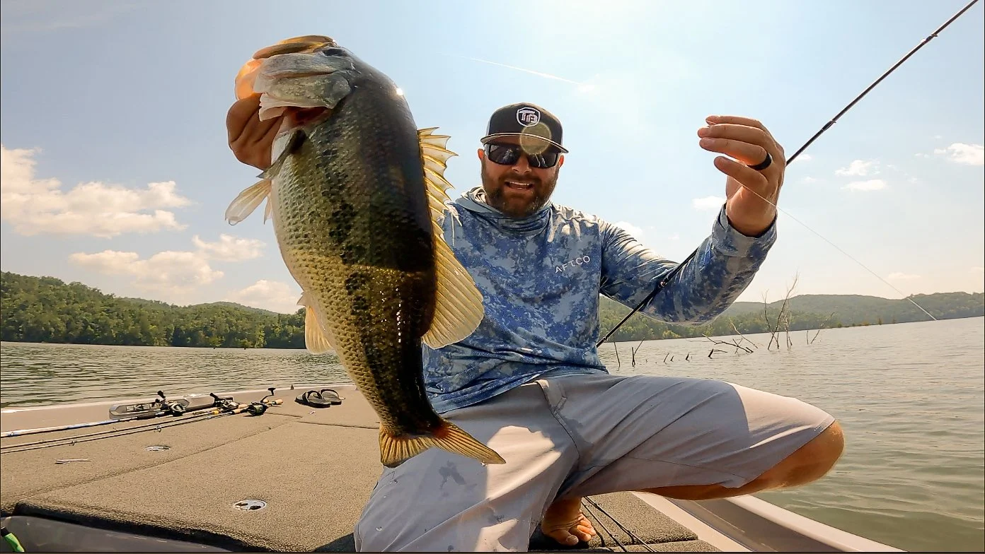 How To Fish The Free Rig! ( Fall Bass Fishing ) — Tactical Bassin ...