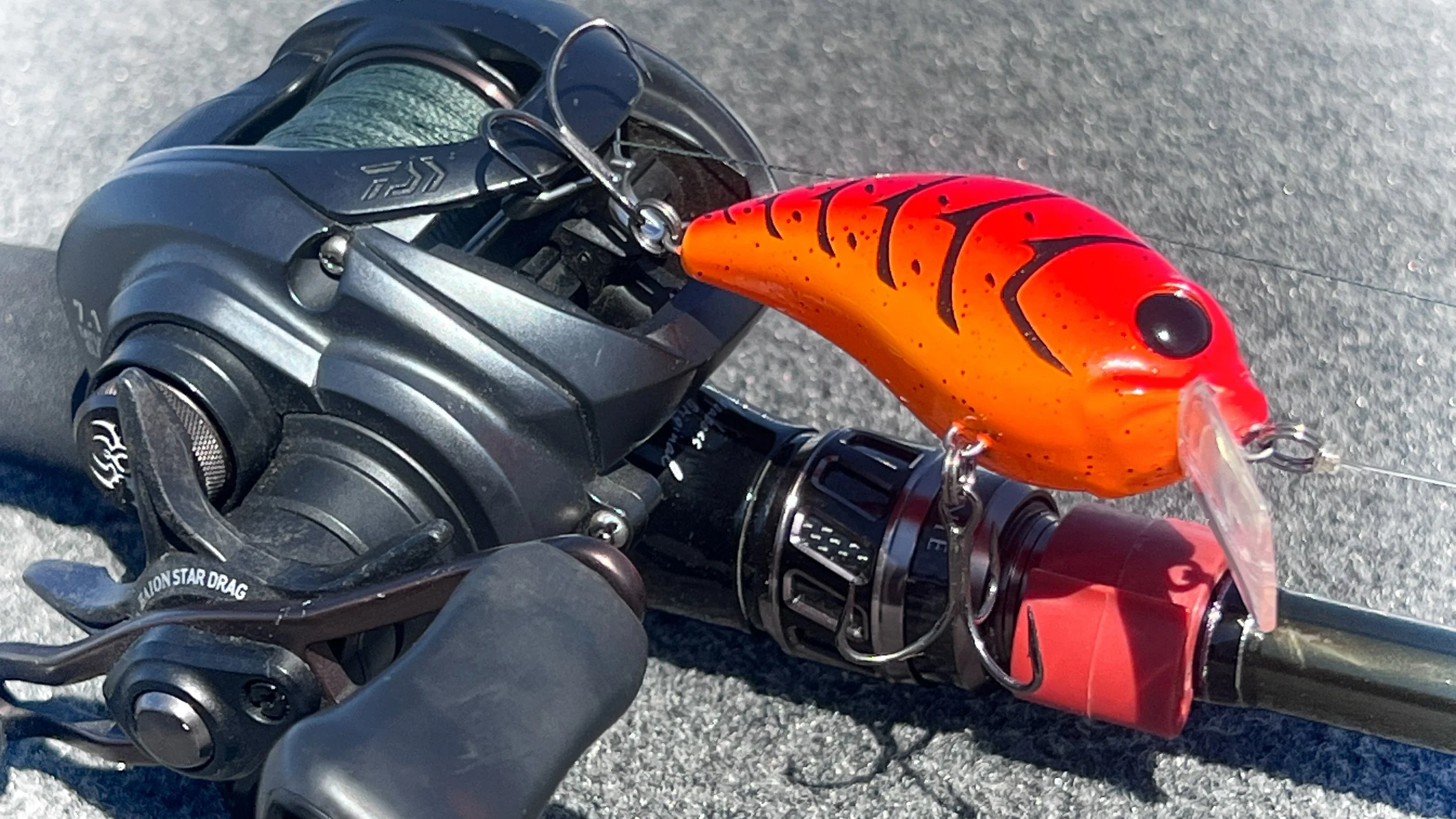 Where Do Bass Go In Spring?! (And The Best Baits To Catch Them ...