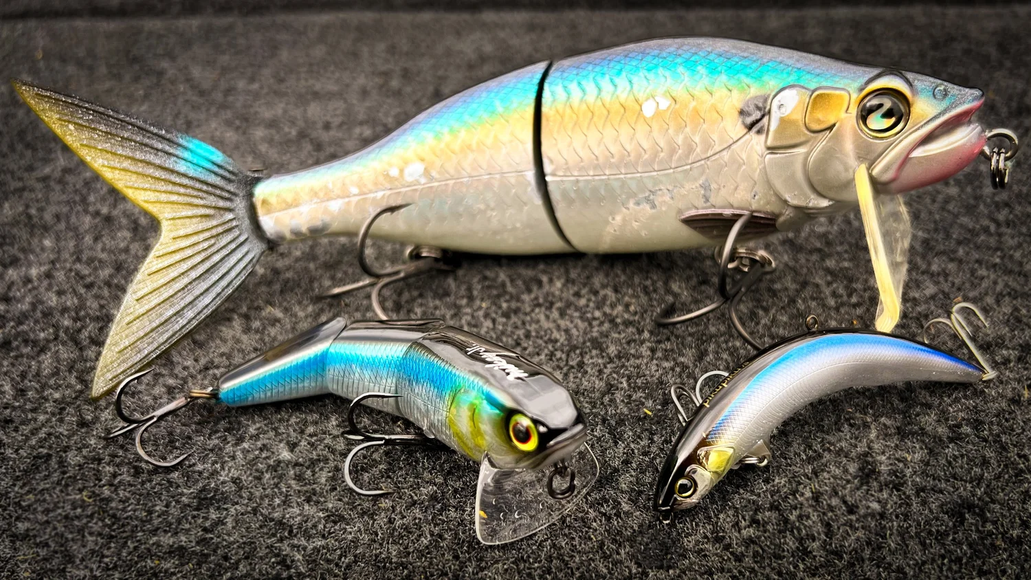 FALL TOPWATER FISHING: The BEST Baits For EVERY Situation! — Tactical ...
