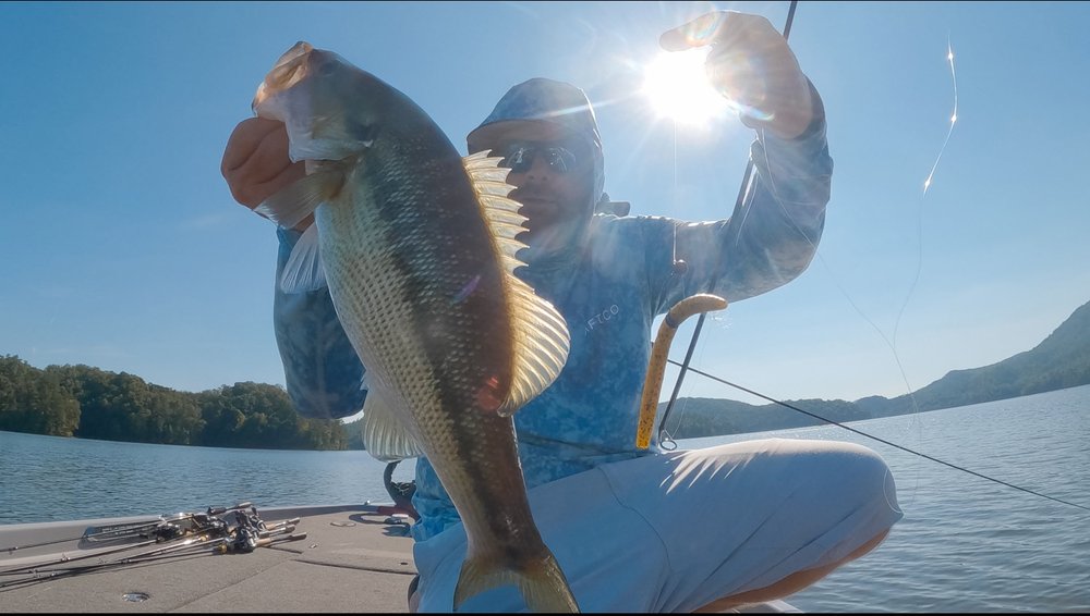 Free Rig Fishing For Fall Bass! (On The Water How To) — Tactical Bassin ...