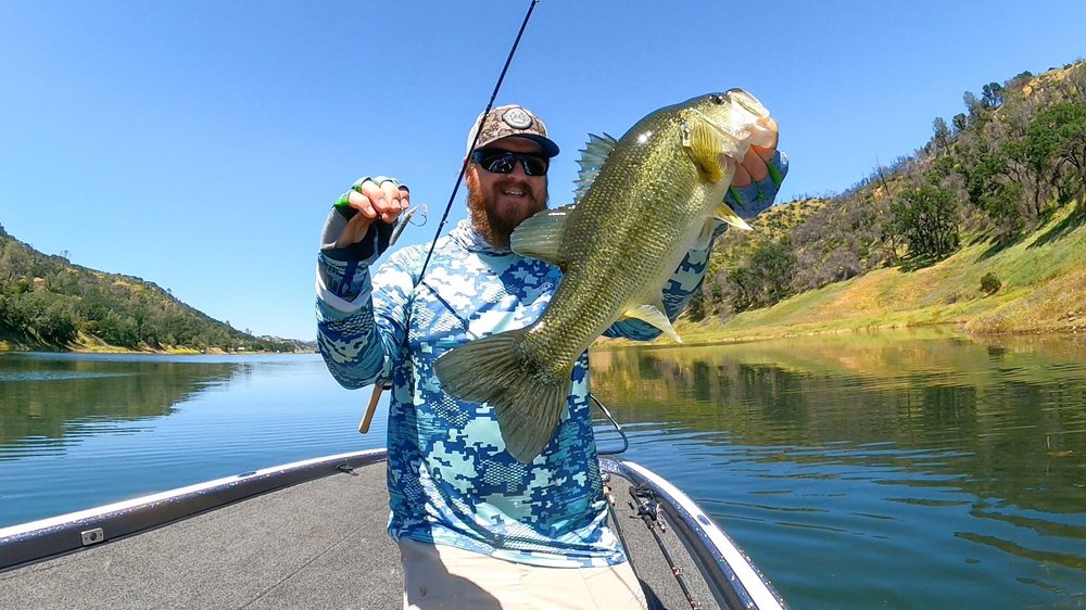 Catch Fish All Day! Targeting Bass With High Sun And Hot Weather! — Tactical Bassin' - Bass ...
