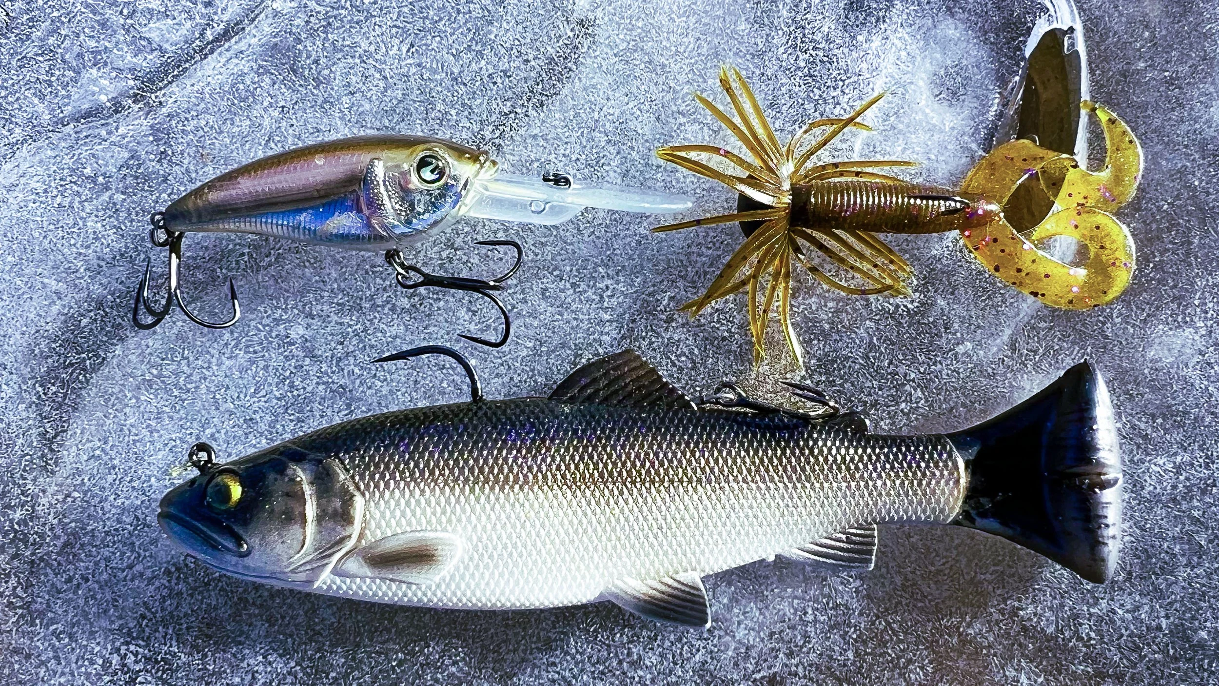 Top 5 Baits for January Bass Fishing! — Tactical Bassin' - Bass Fishing ...