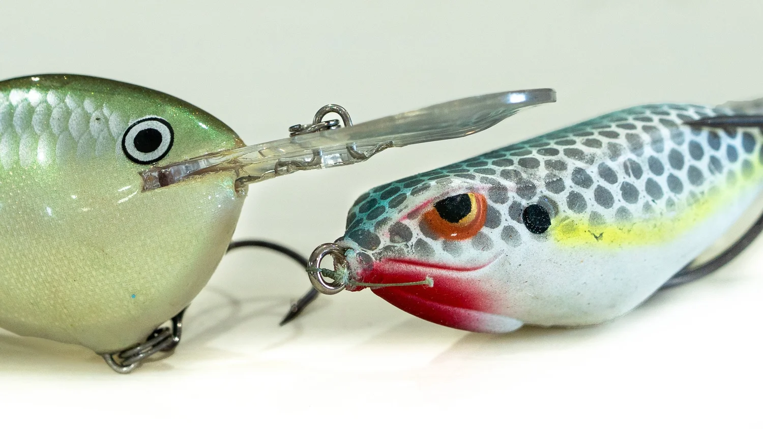 Where Do Bass Go After The Spawn? (And The Baits To Catch Them) — Tactical Bassin' - Bass ...