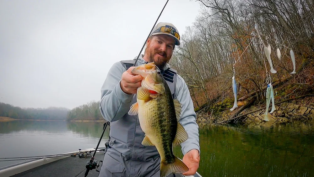 BUYER'S GUIDE: UNIQUE A–RIGS, ALABAMA RIGS, RIGGING TRICKS, AND GEAR ...