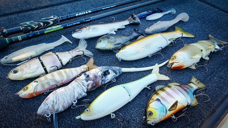 BUYER'S GUIDE: SWIMBAITS, GLIDE BAITS, AND SWIMBAIT RODS — Tactical Bassin' - Bass Fishing Blog