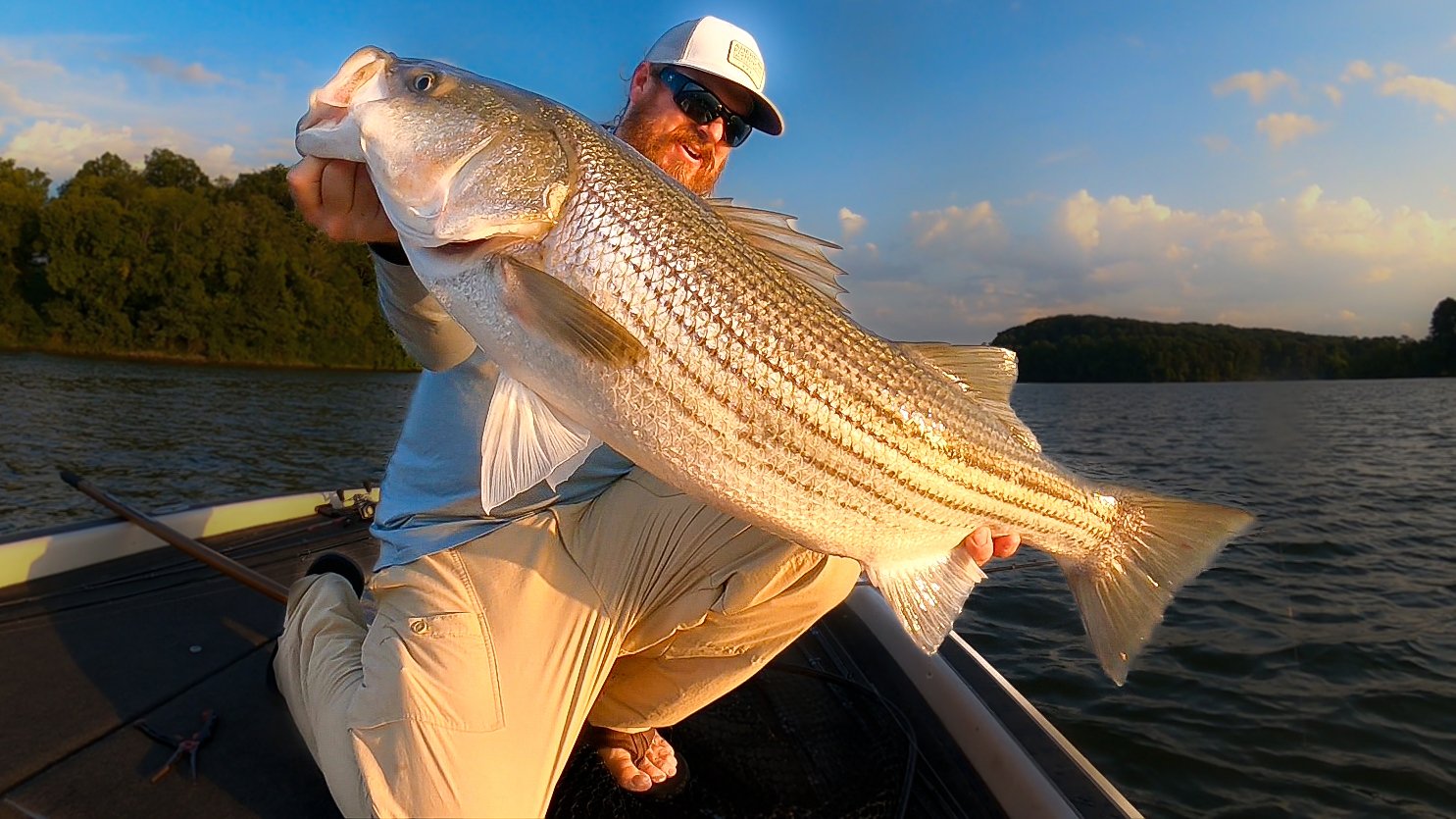 INSANE FISHING! So Many Giant Striper!!! — Tactical Bassin' - Bass ...