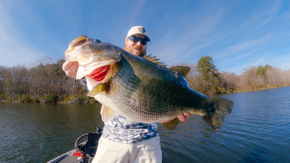 This Shallow Water Trick Catches GIANT Bass! (2 Bass For Over 20 lbs ...