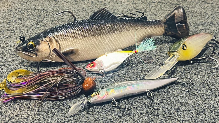 How To Catch Bass During The Fall To Winter Transition (Cold Water Bass ...