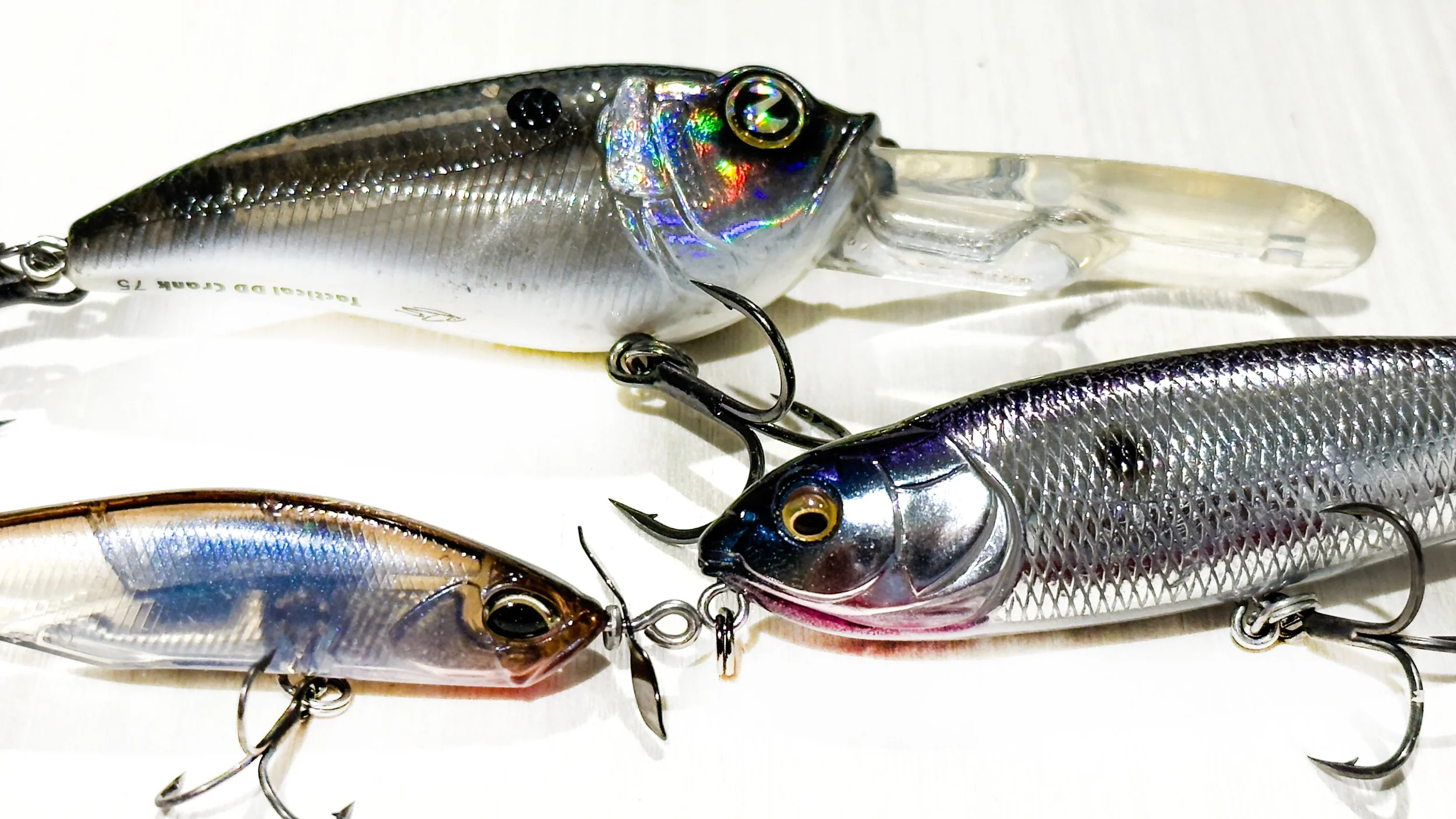 October Bass Fishing Tips! (Day On The Water Bass Fishing A Highland Reservoir) — Tactical ...